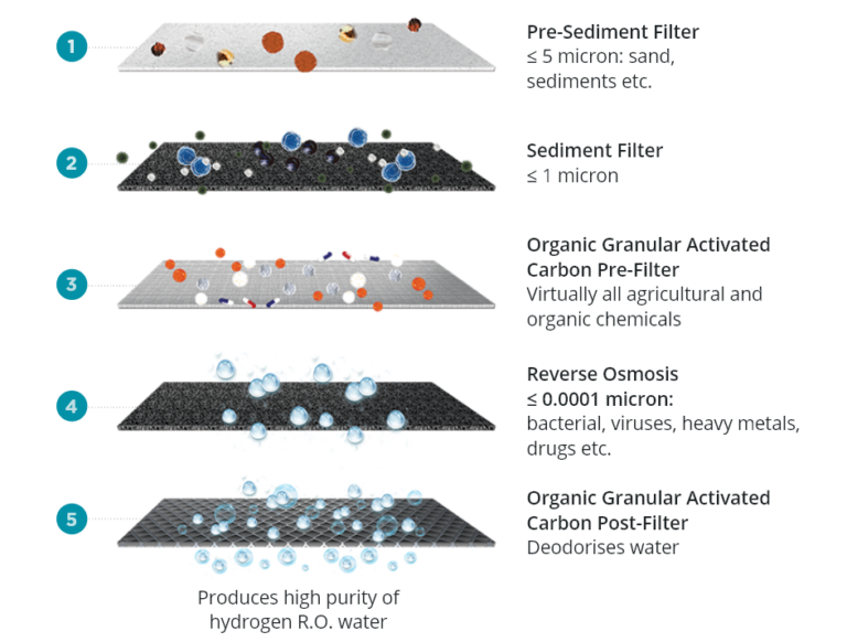 Everything You Need to Know About Hydrogen Water Bottles, Hydrogen ...